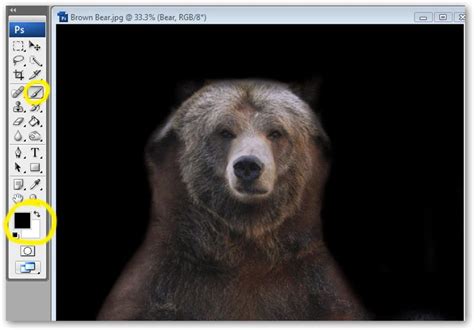 Lorri Freedman Photography Creating A Black Background Using Photoshop