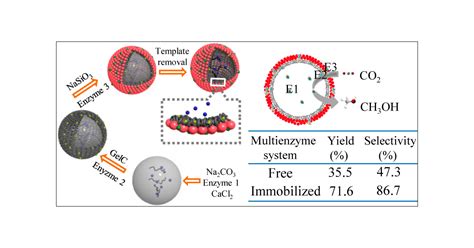 Bioinspired Approach To Multienzyme Cascade System Construction For