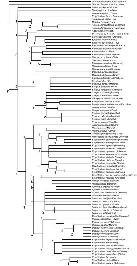 Trajectory Of Common Tree Statistics Including Consistency Index Per Download Scientific