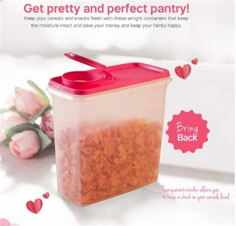 Plastic Tupperware Containers 2000 Ml At Rs 650 Piece In New Delhi Id 2850086190312