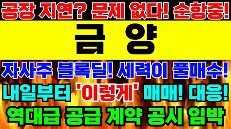 금양 주가전망 🚨긴급속보🚨공장 지연 문제 없다 순항중 자사주 블록딜 세력이 풀매수 내일부터 이렇게 매매 대응하세요 역대급 공급 계약 공시 임박 난리났다