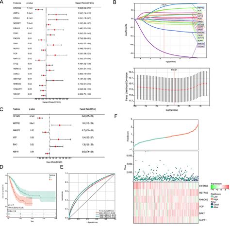 Identification Of Ersrgs Signature Univariate Analysis A Lasso