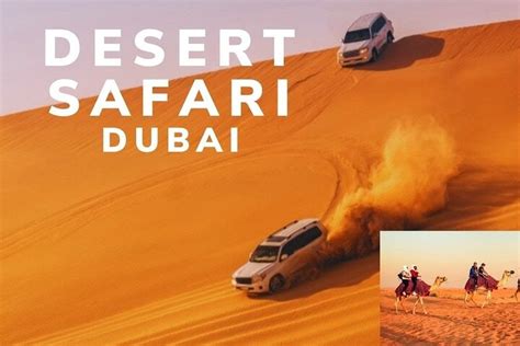 Tour di un'intera giornata nel deserto del safari a Dubai fornito da DESERT SAFARI & CITY TOURS ...