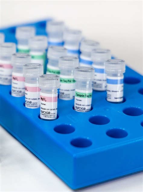 Enzimes Archivos Centro De Ingeniería Genética Y Biotecnología