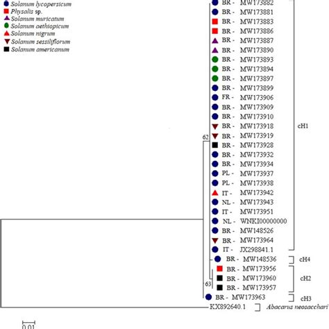Maximum Likelihood Ml Tree Performed Using Kimura 2 Parameter K2p