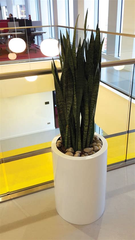 Tall Round Column Planter Unique Planters