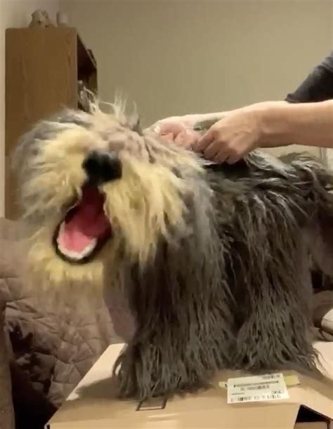 Bunraku Creature Puppet Artofit