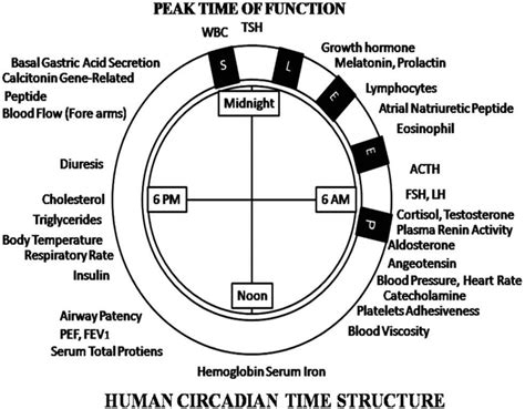 Figure 1 From Pulsatile Drug Delivery System A Technique Of Delivering