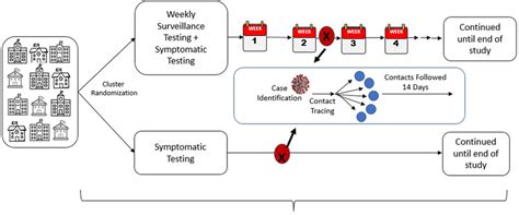 Cluster Randomized Trial Design Being Utilized To Assess If Weekly