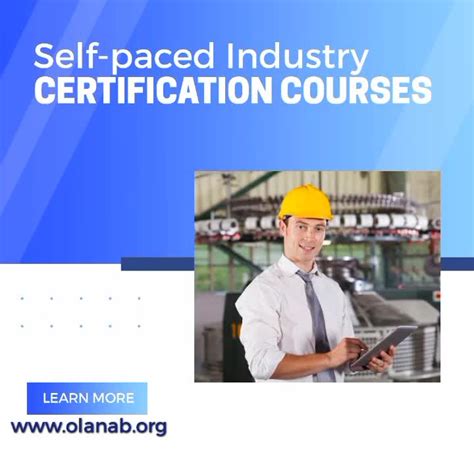 Olanab Consults On Linkedin Dsunybwt Become Certified Learn At Your Own Pace…