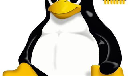 Linux Kernel Programming And Introduction To Yocto Project Coursera
