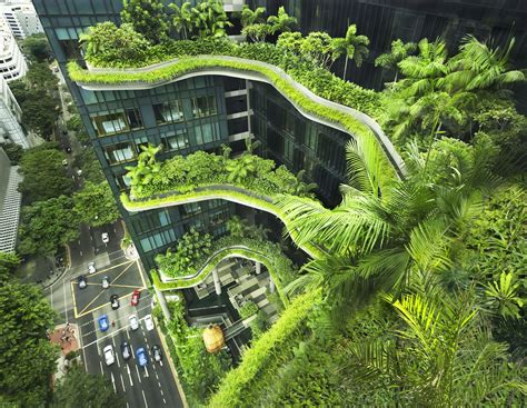 Interview With Woha “the Only Way To Preserve Nature Is To Integrate It Into Our Built