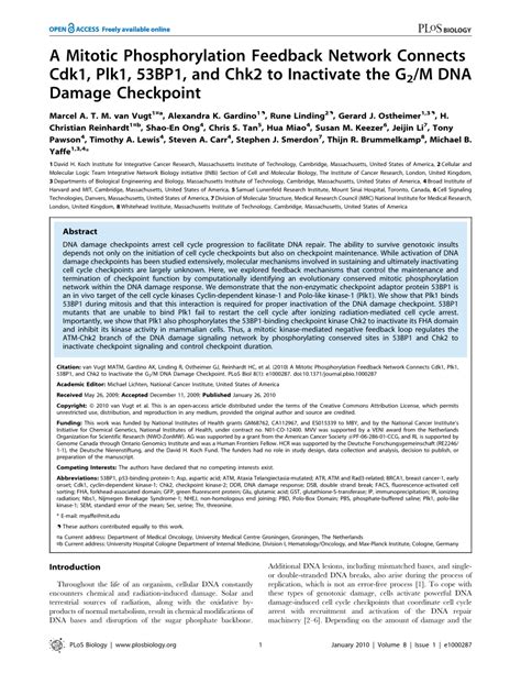 Pdf A Mitotic Phosphorylation Feedback Network Connects Cdk1 Plk1 53bp1 And Chk2 To