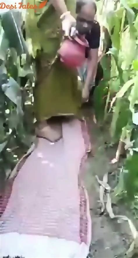 Bihari Bhabhi Hot Outdoor Sex In The Fields With Village Sarpanch Eporner