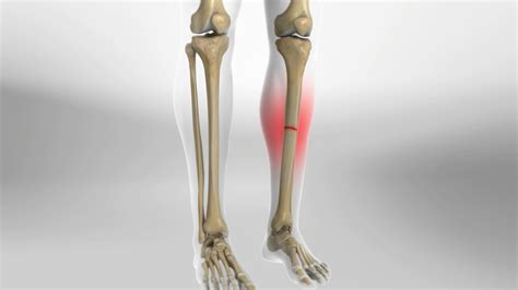 28 Facts About Tibia