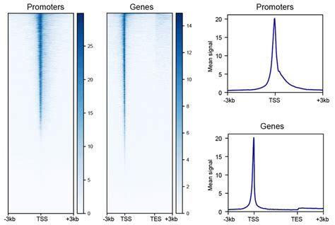 Atac Seq Basepairtech Jp