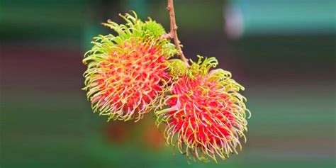 Kenali Sejumlah Hal Yang Sebabkan Keringat Berlebih Di Biji Dan Dampaknya