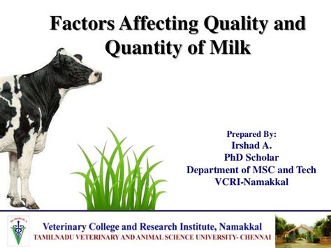 Factors Affecting Milk Composition In Dairy Cows At Heather Colter Blog