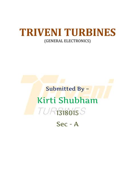Triveni turbines EIC & DCF Evaluation summary | PDF