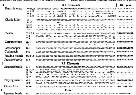 Figure 1 From Retrotransposable Elements R1 And R2 Interrupt The Rrna Genes Of Most Insects