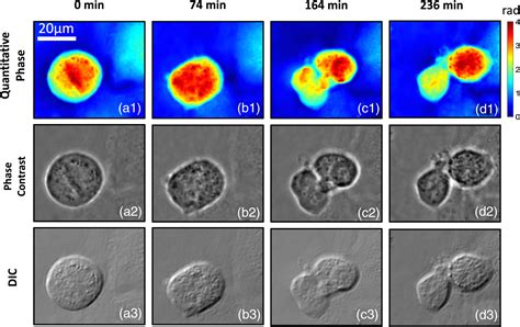 Multimodal Computational Microscopy Based On Transport Of Intensity
