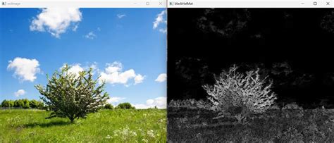 【opencv • C】形态学技术操作 —— 顶帽操作与黑帽操作 阿里云开发者社区
