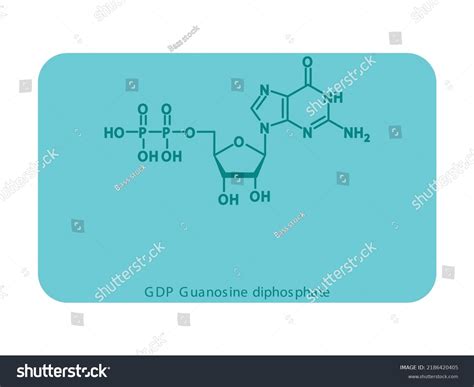 Gdp Guanosine Diphosphate Nucleoside Molecular Structure Stock Vector Royalty Free 2186420405