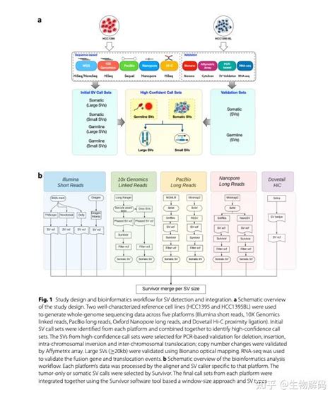 每日文摘 2023年01月08日 知乎
