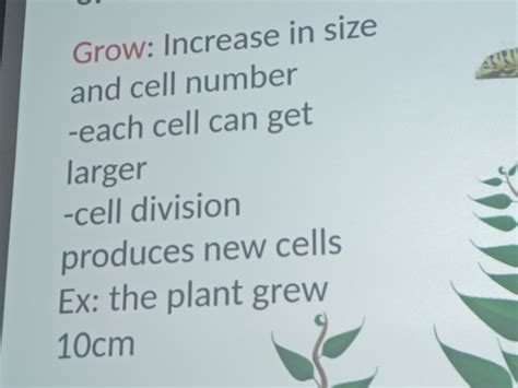 Chapter 1 Flashcards Quizlet