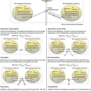 Schematic illustration of OptCom. (A) The multi-level optimization ...