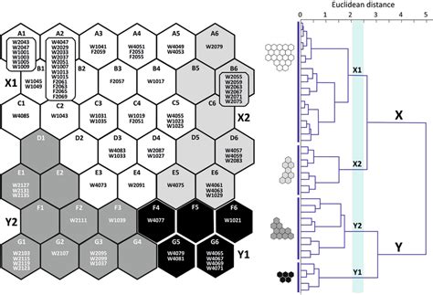 Seventy Nine Non Empty Core Samples Assigned To 42 Self Organising Map