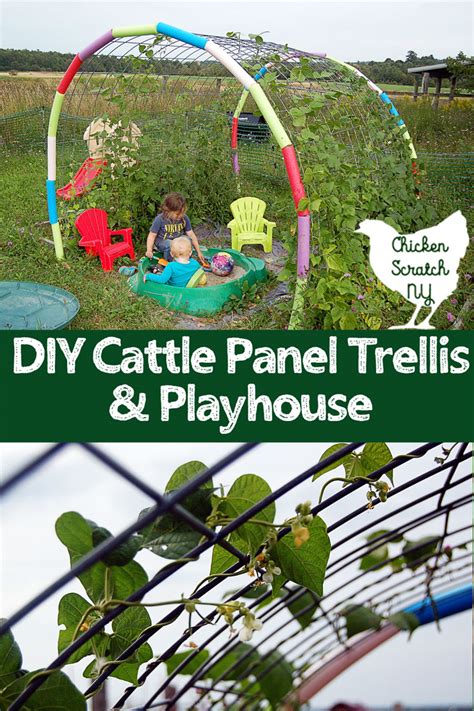 DIY Cattle Panel Arch