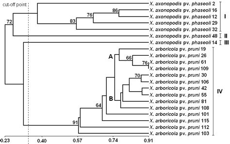 Dendrogram Obtained By Upgma Method Using Dices Similarity Coefficient