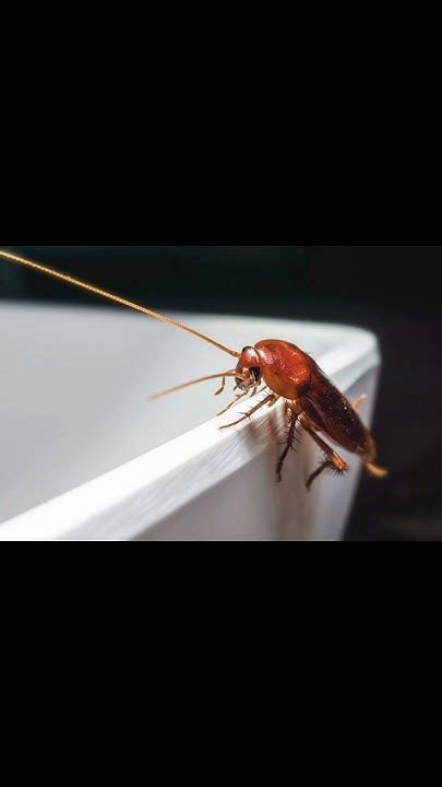 science facts yt short shorts science shorts youtube