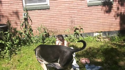 Sunbathing Outside Free Small HD Porn Video Cd XHamster