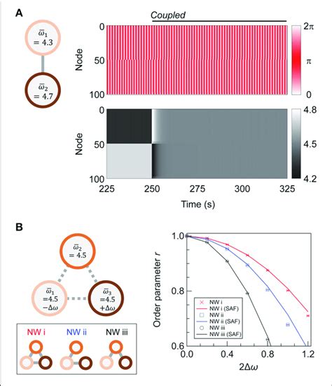 Coupling Networks Of Different Frequencies A A Schematic Showing Download Scientific
