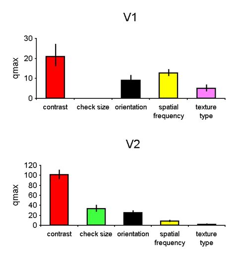 temporal coding in visual cortex