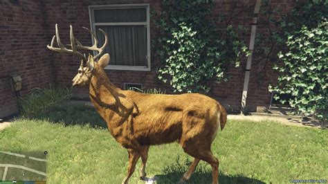 Files To Replace Vfxdat In Gta 5 2 Files Files Have Been Sorted By