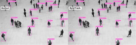 ultralytics yolov8 object trackers botsort vs bytetrack comparison