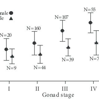 Average Spermatophore Lengthmantle Length Relationship Download Scientific Diagram