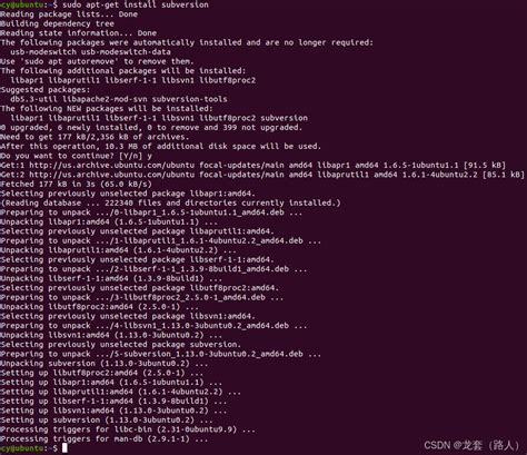 虚拟机下svn管理项目搭建流程虚拟机搭建svn服务器 Csdn博客