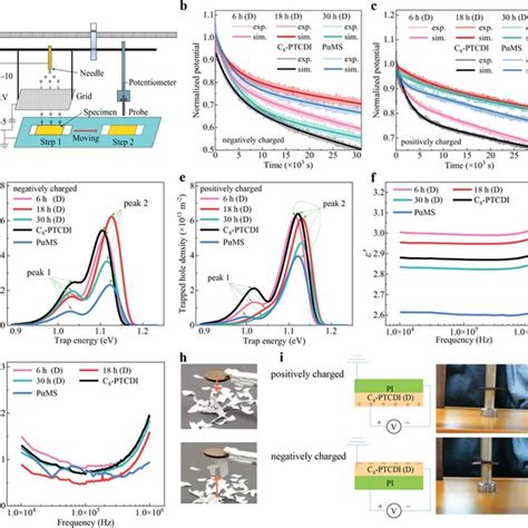 Charge Storage Characteristics Dielectric And Electrostatic Adsorption Download Scientific