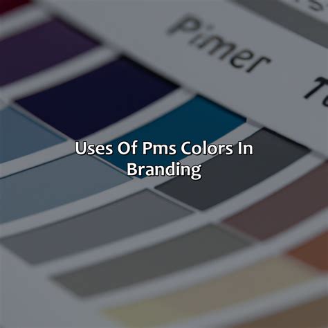 What Does Pms Color Stand For