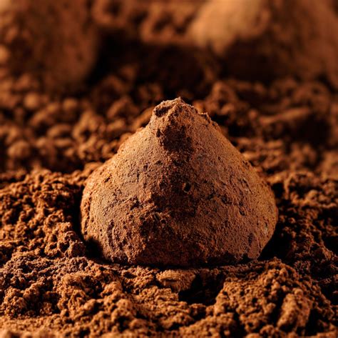 싱글 케냐aa 신선하고 맛있는 원두 커피 브로일링커피 직화커피