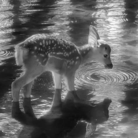 Cigarettes After Sex India 🇮🇳 Cigsaftersexfans • Instagram Photos