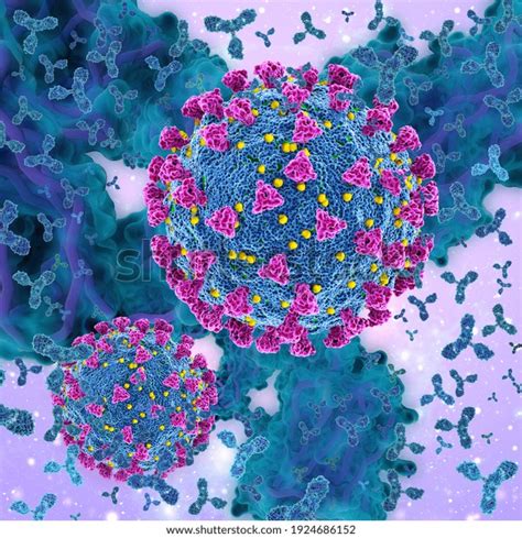 Antibody Opsonization