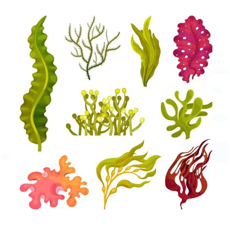 Algat E Detit Farmaon