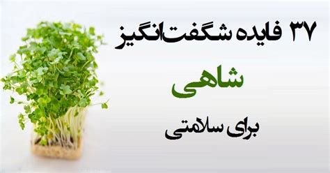 ۳۷فایده ی شاه ایکس 😁