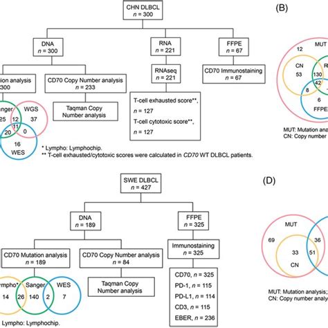 The Workflow Of The Diffuse Large Bcell Lymphoma DLBCL Cohorts The Download Scientific