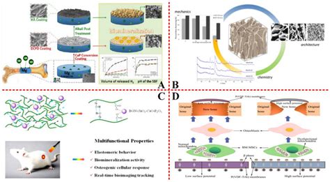 Application Of Biomineralization In Bone Tissue Engineering A Download Scientific Diagram